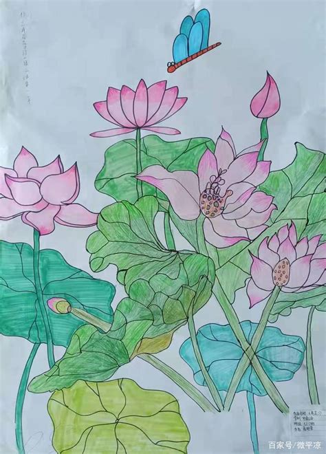 彩铅儿童画图片大全 彩铅儿童画图片大全手绘 博物迷