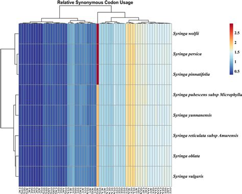 Heatmap Of Codon Clustering For Eight Species Of Syringa Download