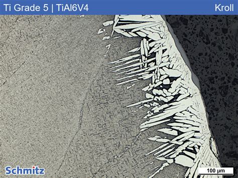 Titanium Grade 5 Tial6v4 Heat Treated At 1050 °c Schmitz Metallographie Gmbh