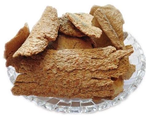 Varun Chal Dry Extract At Best Price In Valsad Kaiwal Biotech