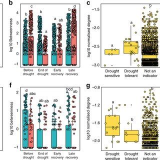 Bacterial And Fungal Co Occurrence Networks Over Time As Affected By