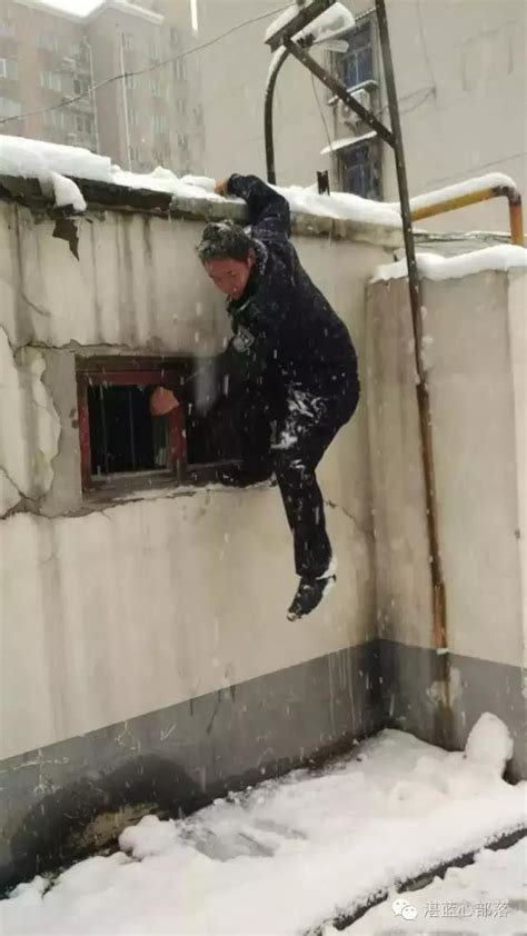 他們是這次初雪中最美的雪人 每日頭條