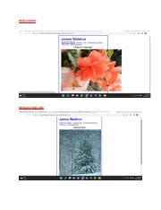 CS208 WALDRON WK6 ASSIGNMENT Docx PAGE LOADED HEMLOCK TREE LINK