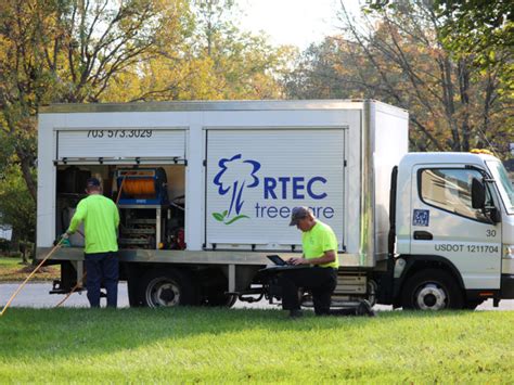 Tree Not Growing Leaves In Spring Heres Why Rtec Treecare