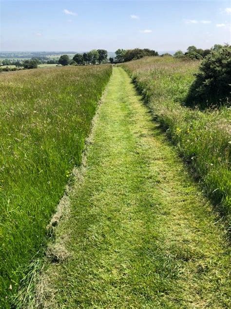 Path Grass Neils Trips