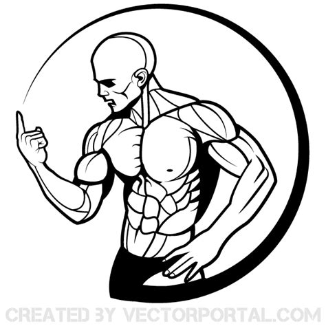 Martial Arts Fighter Vector Download Free Vector Art Free Vectors