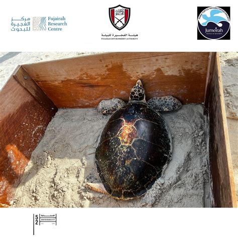 الفعاليات