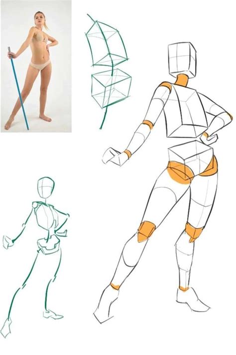 Figure Drawing Reference Photos References In Figure Drawing