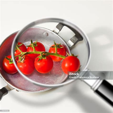 품질 관리 Haccp 식품 안전 돋보기를 통해 본 방울 토마토 다발의 개념 이미지 Haccp에 대한 스톡 사진 및 기타 이미지
