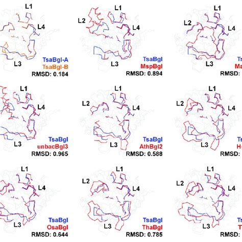 Structural Comparison Of The Loop Structures On The Substrate Binding
