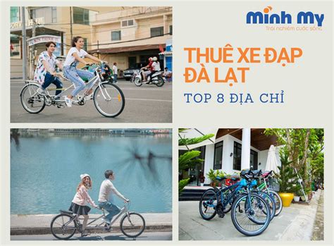 MÁCH BẠN 8 địa chỉ cho thuê xe đạp Đà Lạt Xe mới giá thuê rẻ