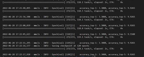 Top1 Accuracy Stays Almost 0 During Entire Training Proccess Issue