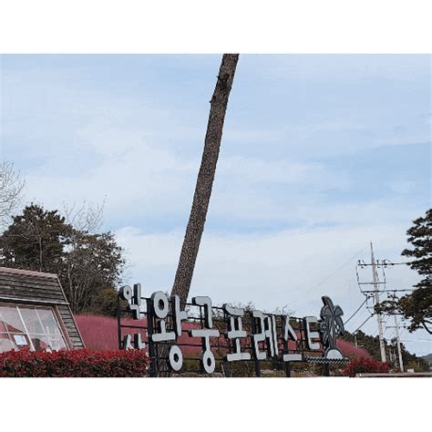 익산 가볼 만한 곳 핑크 뮬리가 예쁜 왕궁 포레스트 아이들 놀 거리도 많아요 네이버 블로그