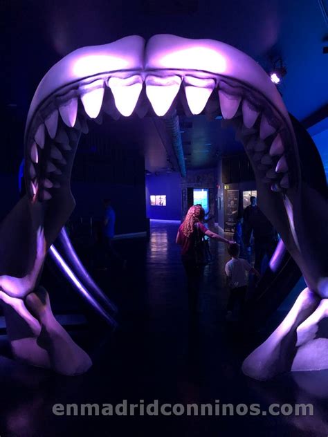 ¿merece La Pena Atlantis Aquarium Madrid Nuestra Experiencia