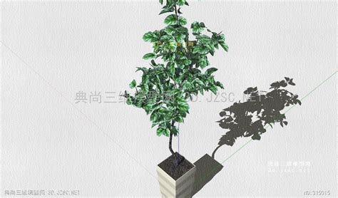 Su Sketchup Su Su