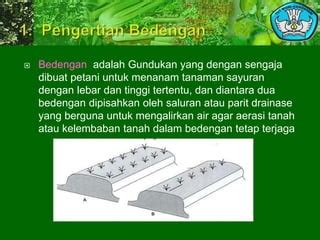 Lahan Pptx