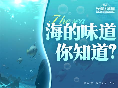【绘画教程】一个简单好上手的海底背景画法！ 光翼学园 站酷zcool