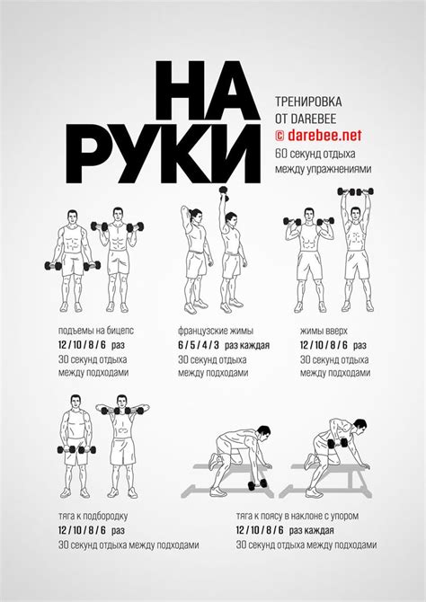 Тренировка рук Бицепс Тренировки Тренировка рук