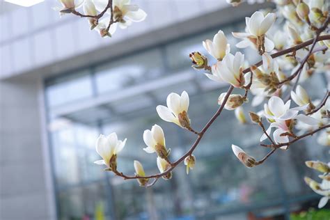 北京工商大学