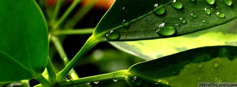 Pasirriszone7rn Home