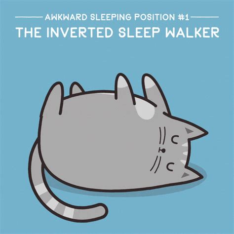 Awkward Sleeping Position 1 Meowingtons