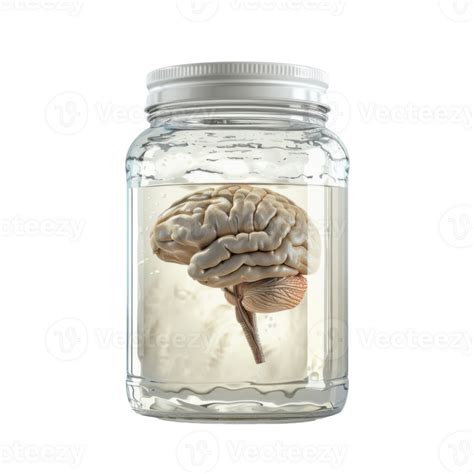 Human Brain Preserved In A Glass Jar 50475266 Png