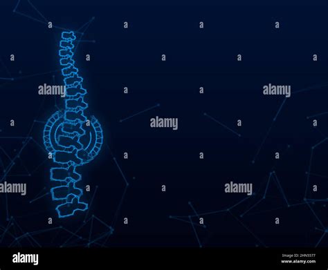 Plexus Spine Human Graphic Icon Human Anatomy Vector Stock