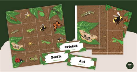 the wild robot teach starter