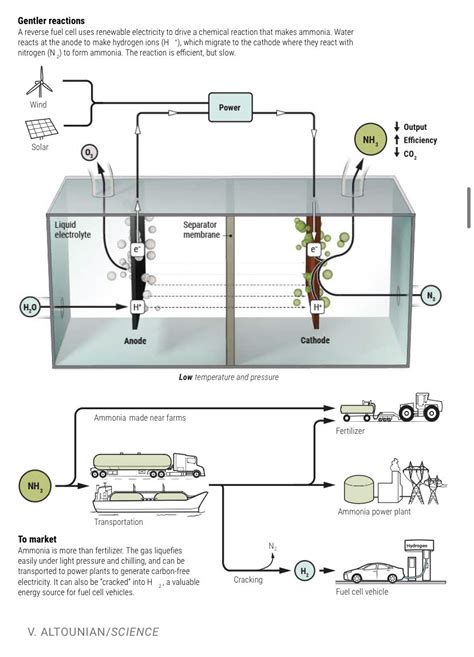 Green Ammonia Synthesis An Emerging Source Of Renewable Energy
