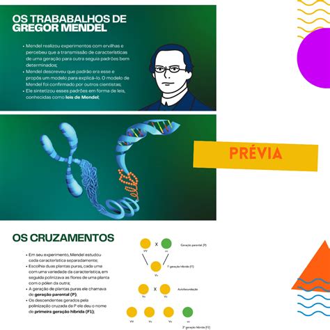 Slide hereditariedade e 1ª lei de Mendel Loja atividades pedagógicas Clarissa Neves