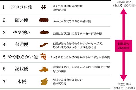 胃腸疾患：過敏性腸症候群 つかざんクリニック