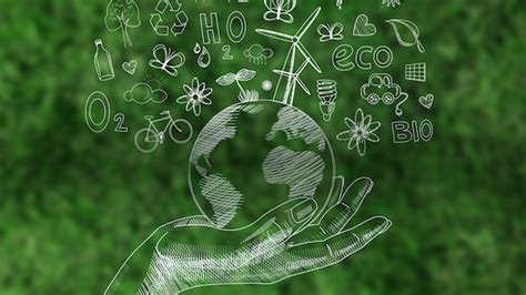 Educação Para O Desenvolvimento Sustentável Ensinando Alunos A Cuidar