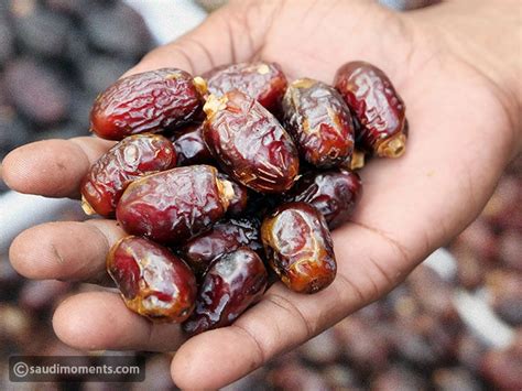 Top 10 Different Types Of Dates Fruit In Saudi Arabia