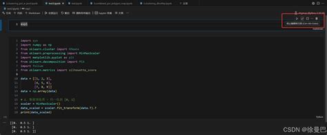 如何在vscode的 ipynb文件中给单元格添加标题？ ipynb 标题 csdn博客