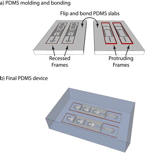 Double Emulsion Generation Using A Polydimethylsiloxane Pdms Co Axial Flow Focus Device Pmc