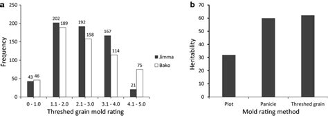 Grain Mold Resistance Among Sorghum Accessions And Heritability Of