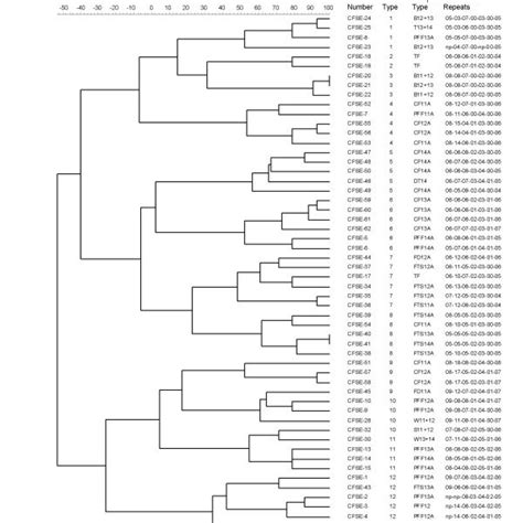 Dendrogram A Dendrogram Of The Multi Locus Variable Number Of Tandem