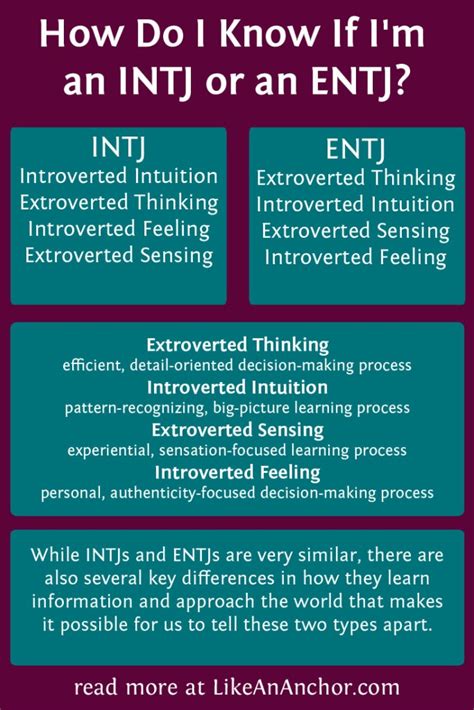 Intp Vs Intj 5 Ways To Truly Tell Them Apart With Images