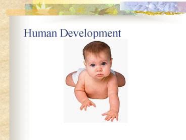 Human Development Presentation Free To View