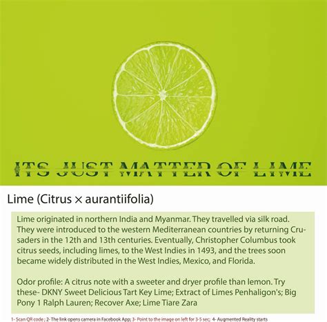 Lime Scent Note For Energized Workplace Scentopia Singapore