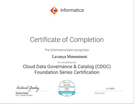 Datagovernance Datacatalog Datamanagement Informatica