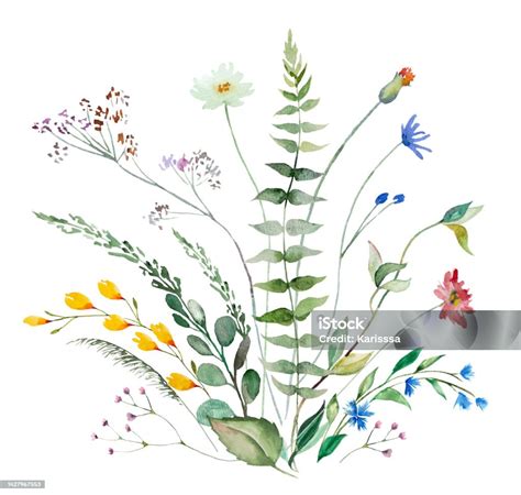 水彩画の野生の花や葉の花束夏の結婚式や挨拶イラスト お祝いのベクターアート素材や画像を多数ご用意 お祝い イラストレーション