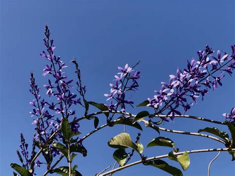 土牧驛健康農莊