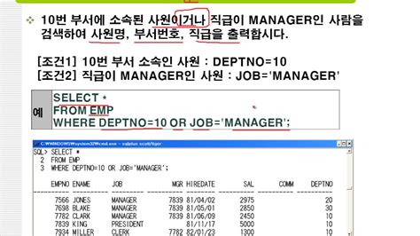 8강 oracle 11g sql 논리연산자 between in 오라클 youtube