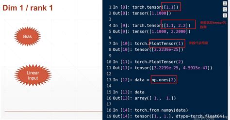 Pytorch基础（二） Tensor数据类型 Csdn博客
