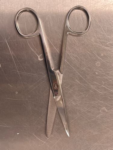 Surgical Instruments Flashcards Quizlet
