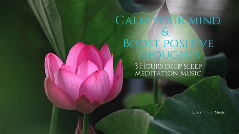 Calm Our Mind And Boost Positive Thoughts🍀 3 Hours Healing Music Awaken