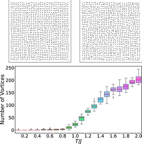 Top Snapshots Of The Equilibrium Spin Configurations Of A D