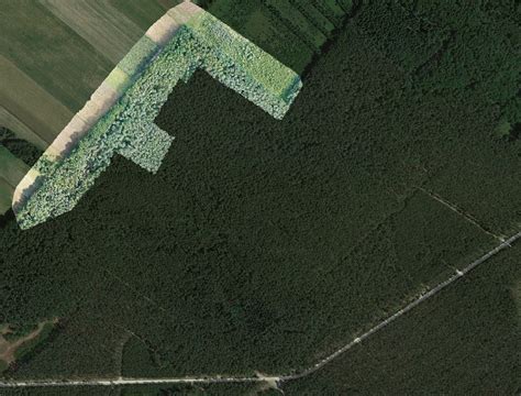 Processing Forest Data With Similar Photos ODM OpenDroneMap Community