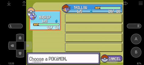 Just Started My First Play Through With Mudkip R Pokemonemerald